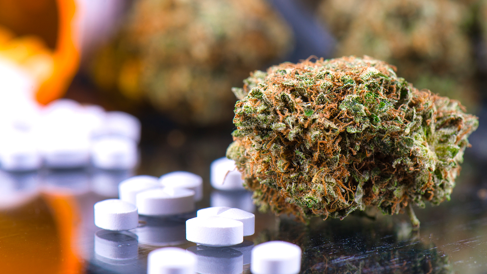 Georgia Police Find Massive Drug Stash Cleaning Up After Helene