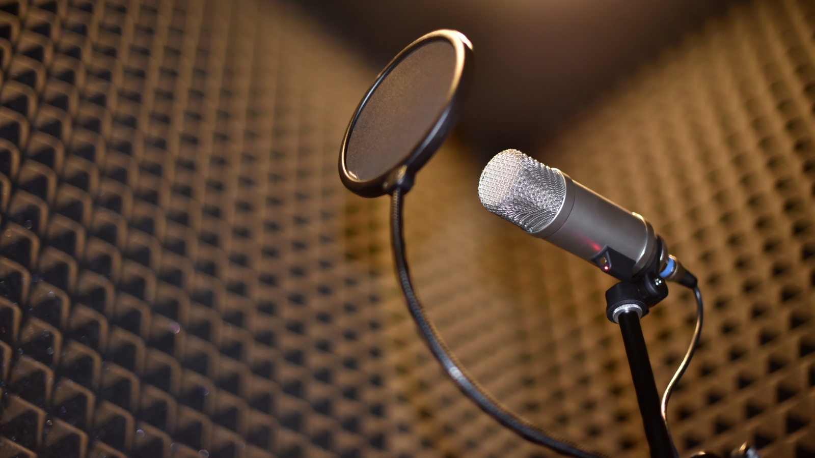 Voice Actress Kristen DiMircurio Blows Everyone Away With Voice