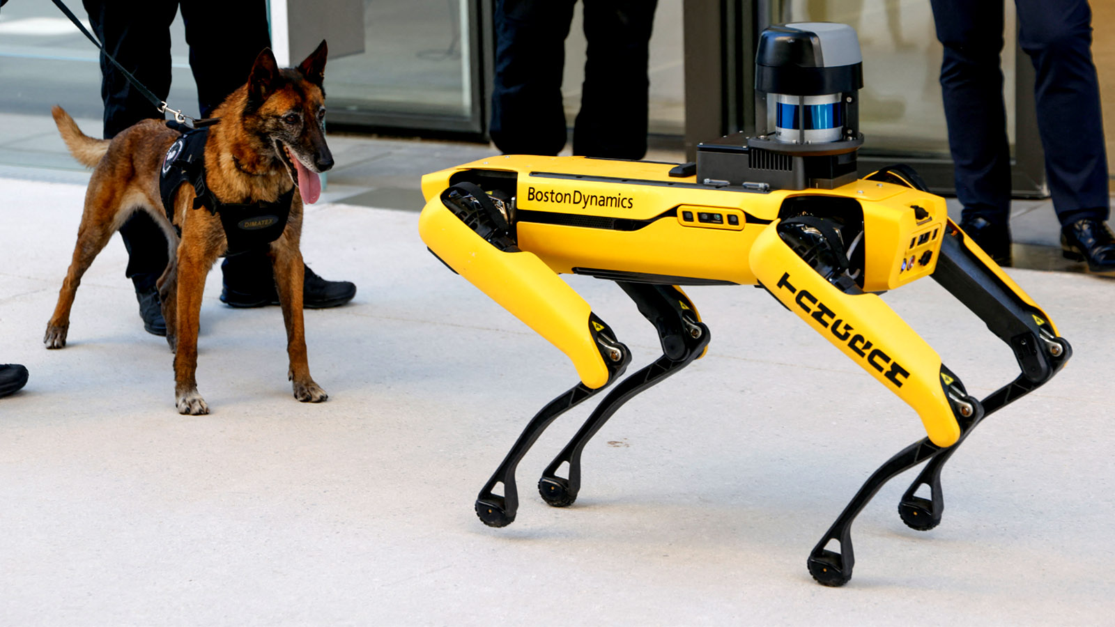 Robot Dogs Are Now Patrolling Mar-A-Lago Following Trump's Win