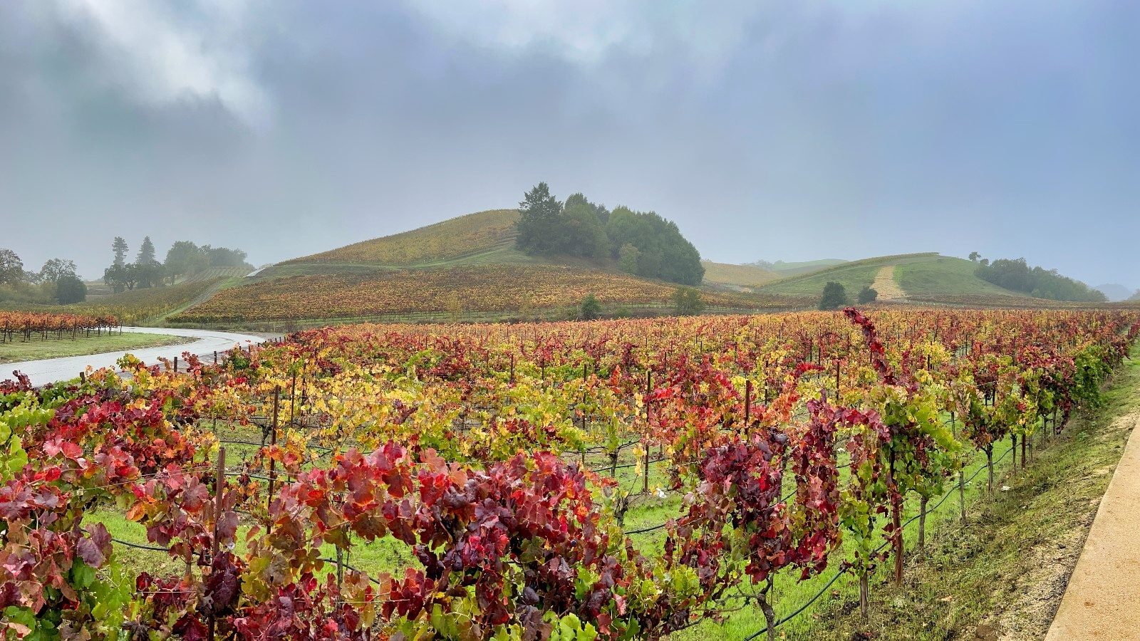 Re-Ranking Wine Spectator's Top 10 Wines Based On Description