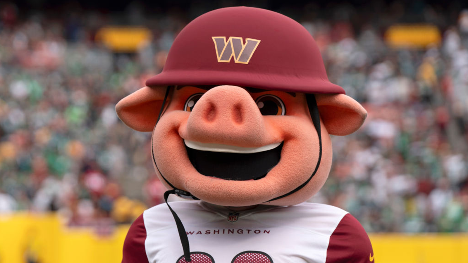 NFL Mascot Wrecks Wealthy 11-Year-Old With Vicious Late Hit