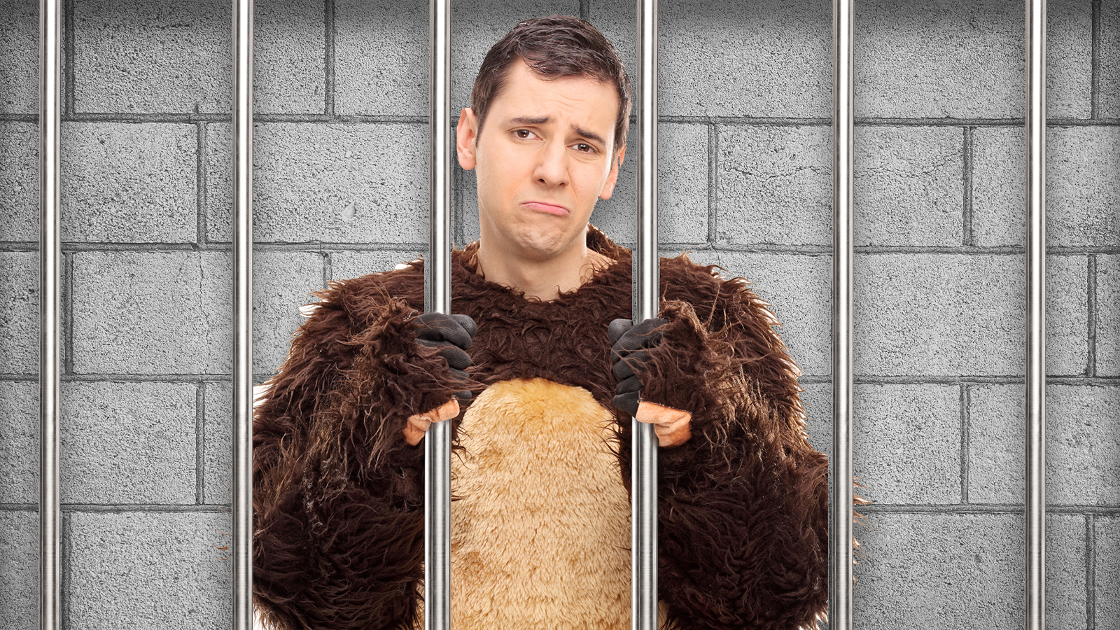 California Gang Accused Of Using A Guy In A Bear Costume To Carry Out ...