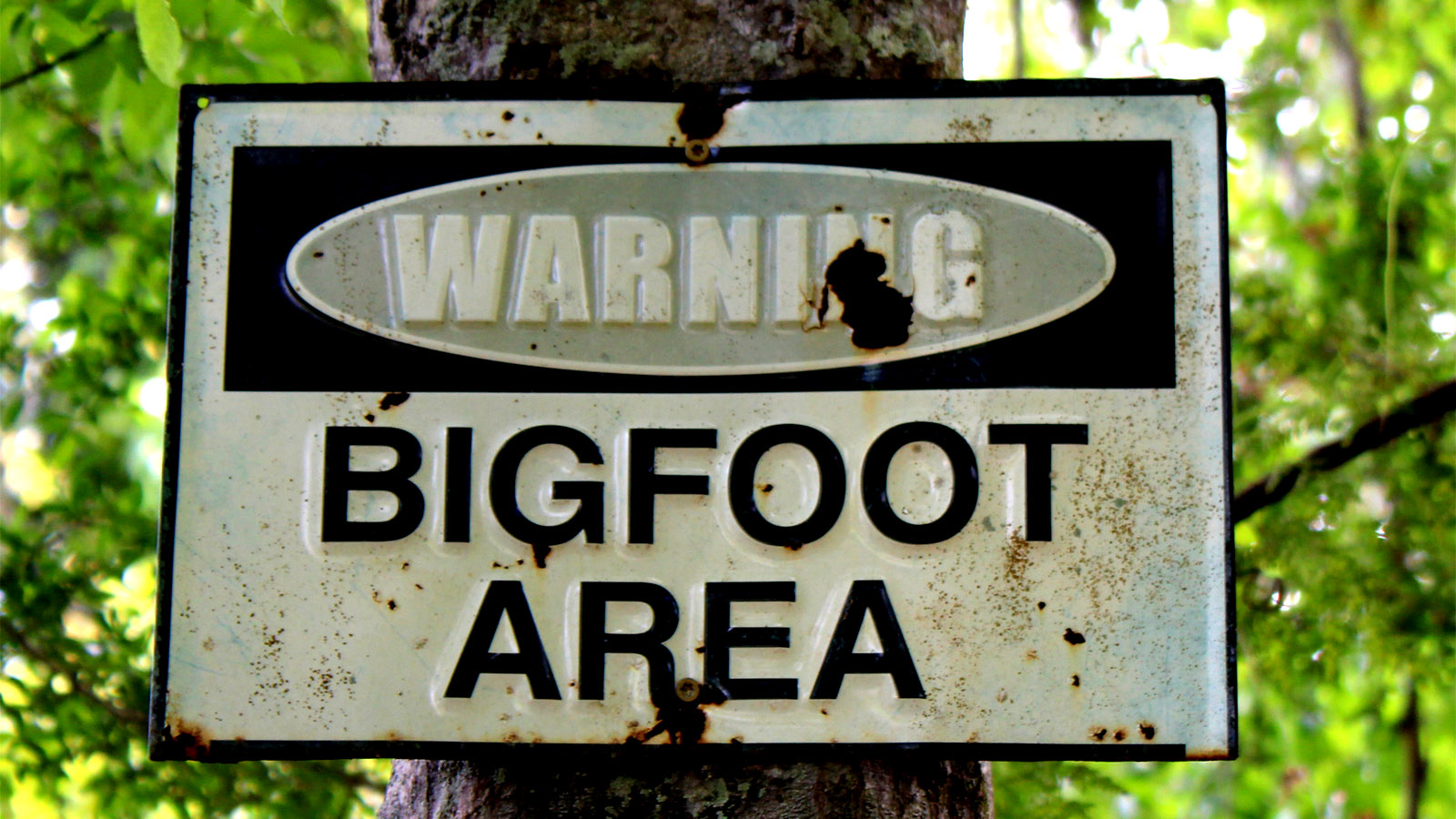 Indiana Man Captures Images Of Bigfoot On His Game Camera