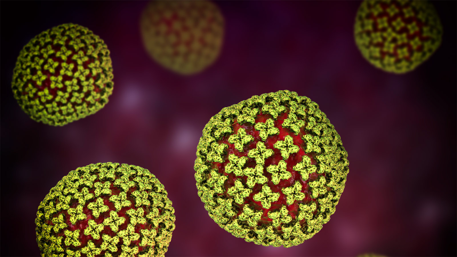 Hundreds Of Vials Of Deadly Viruses Gone Missing In Australia