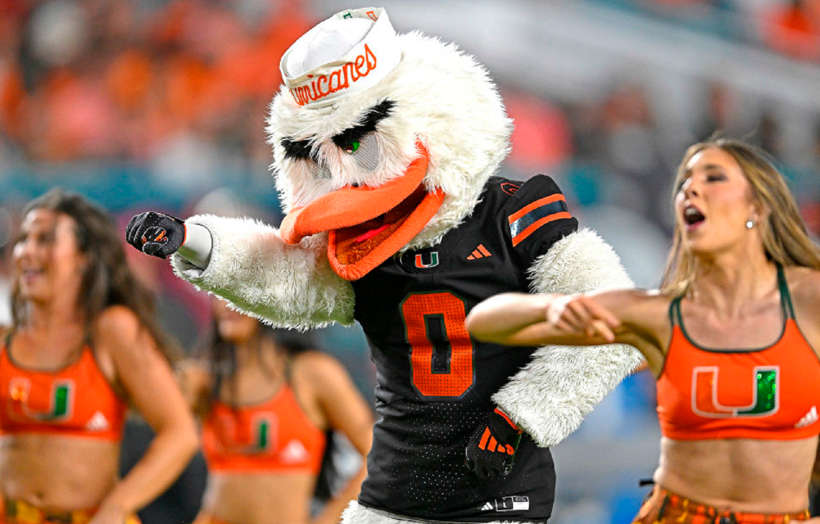 Miami Mascot Reacts To Reporter's Accusations