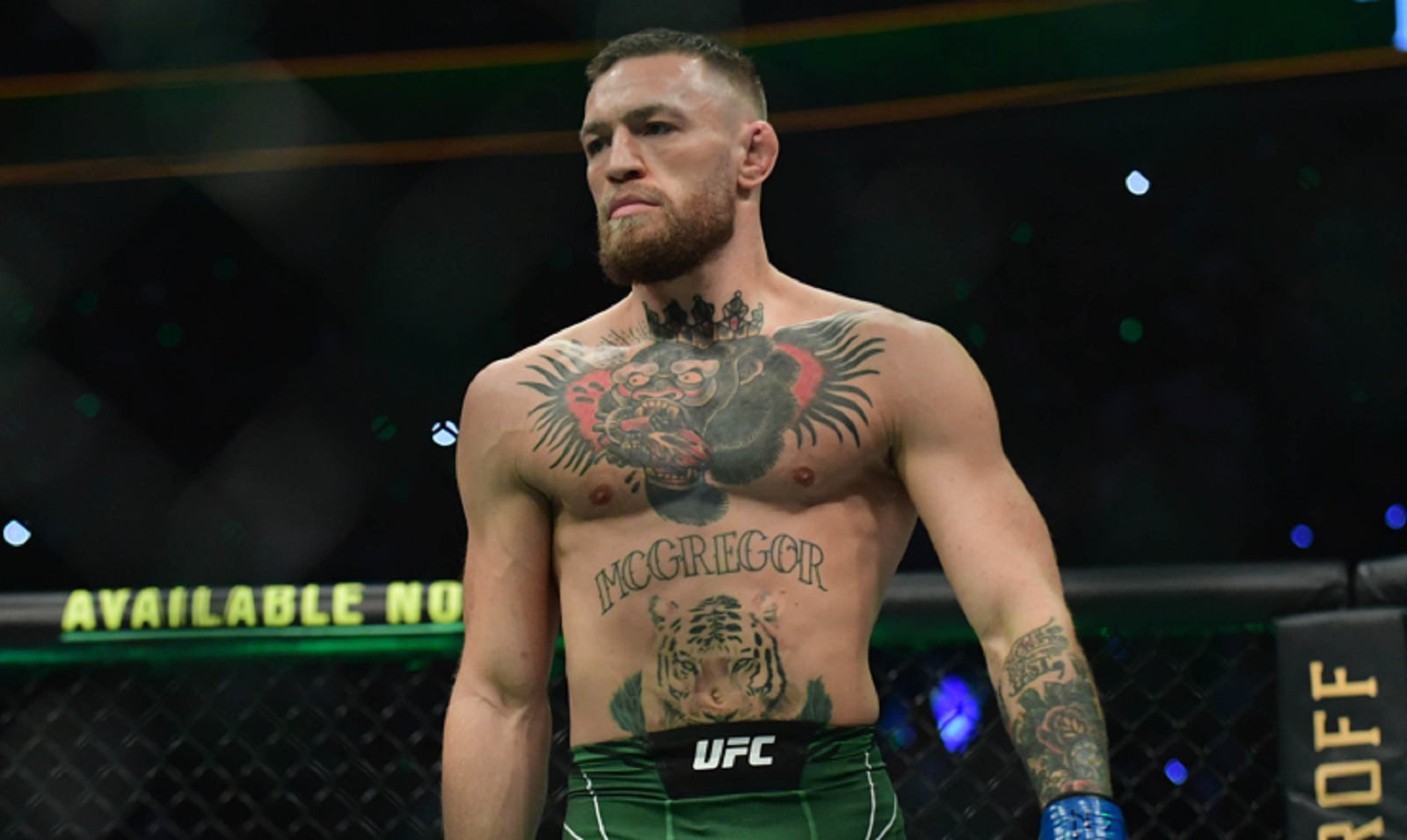 Conor McGregor Threatened To Slap Jake & Logan Paul At President Trump ...