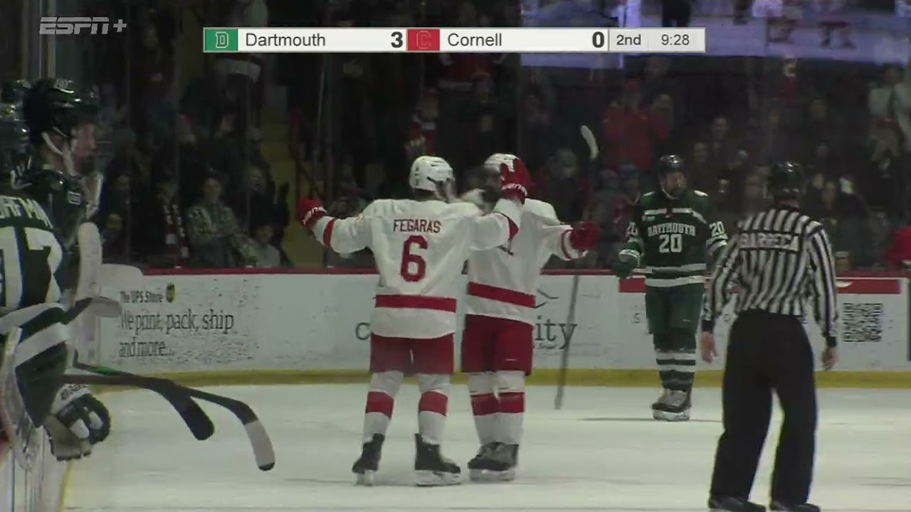 Mayhem Ensues During Bench-Clearing College Hockey Brawl