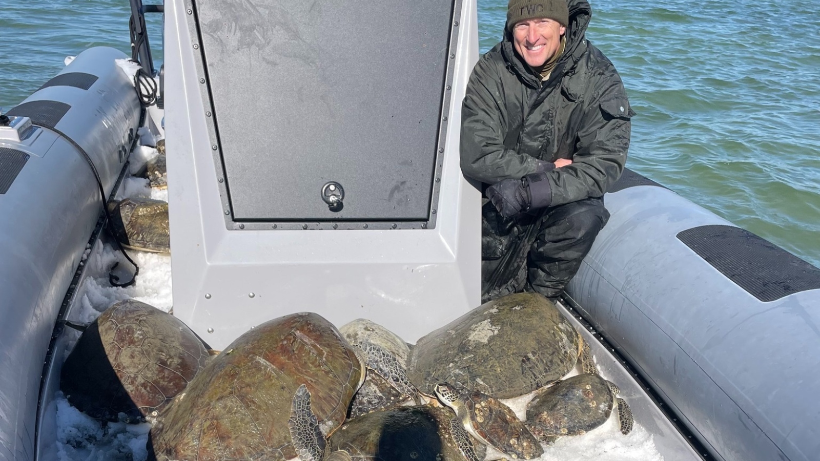 Florida Wildlife Officials Rescue 30 Sea Turtles After Snowstorm