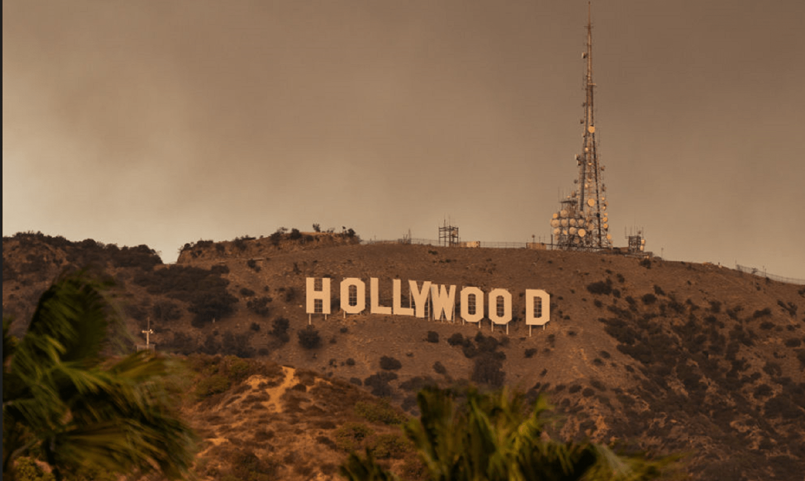 Hollywood Hills Fire Spreads Quickly