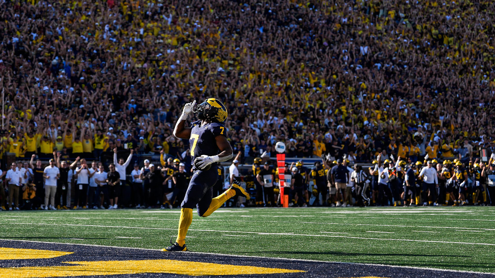 The 8 College Football Teams With The Biggest Stadiums