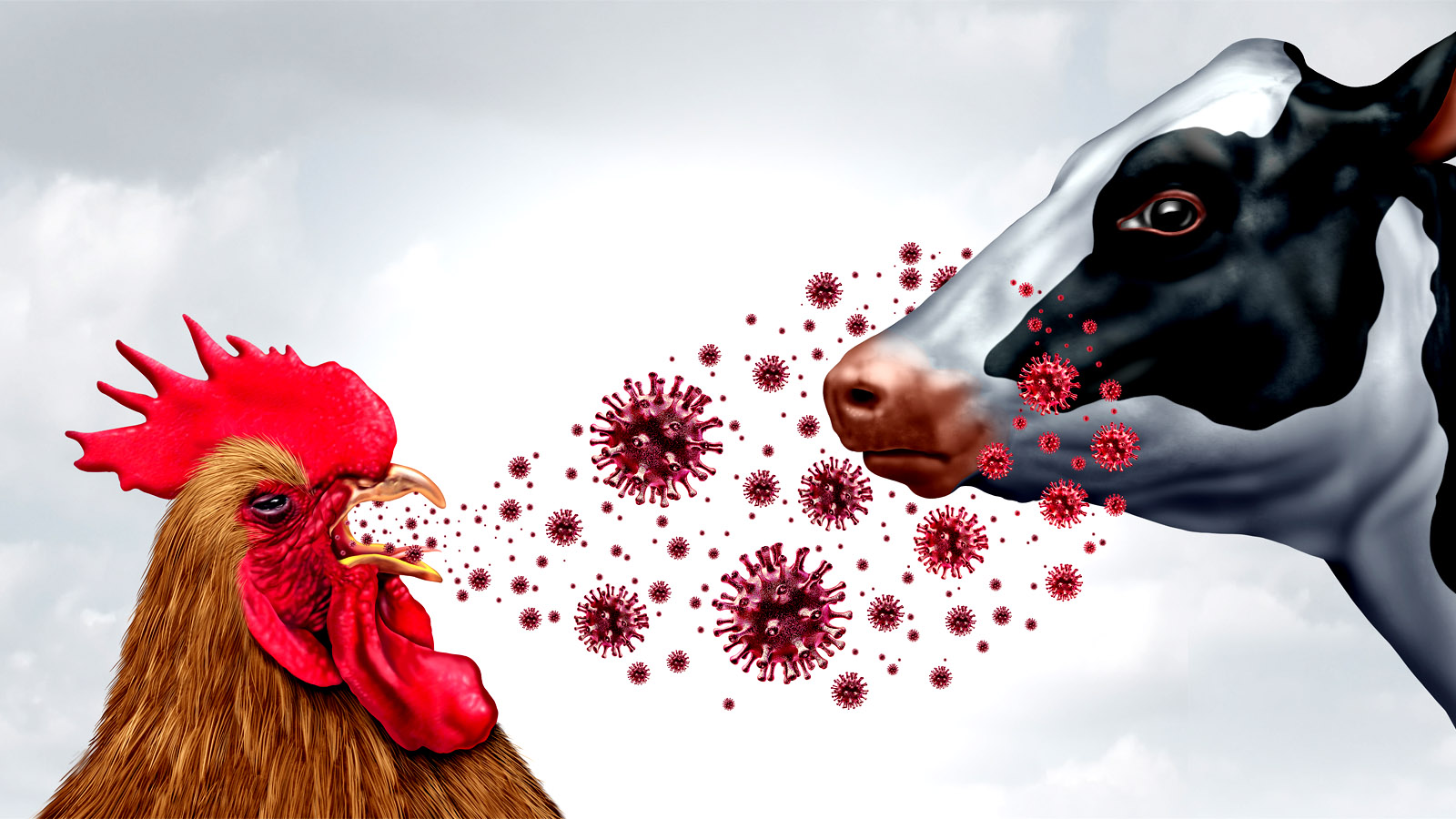 Another New Strain Of Bird Flu Detected In Nevada Dairy Cows