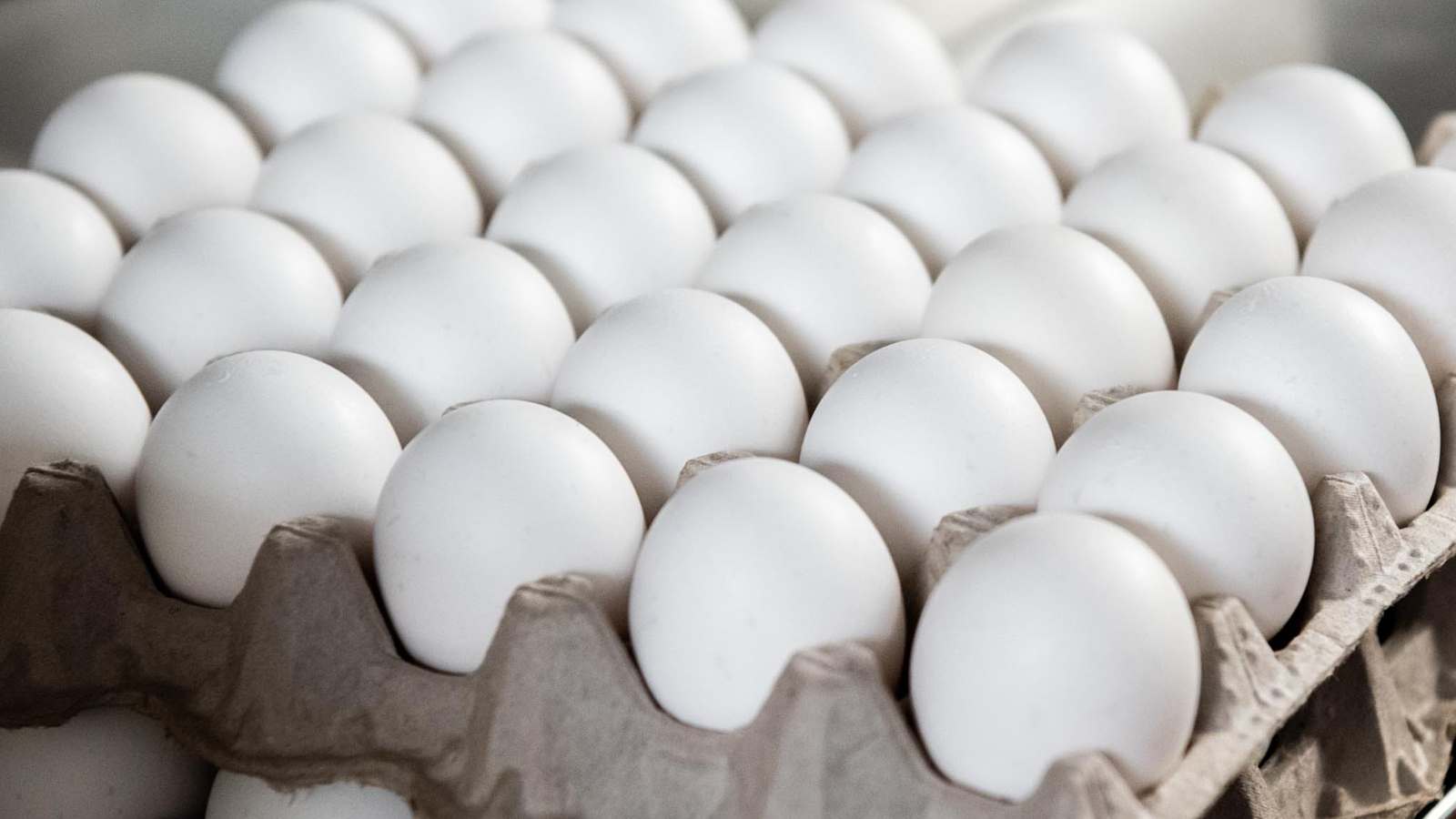 Pennsylvania Thieves Steal 100,000 Eggs Worth $40K