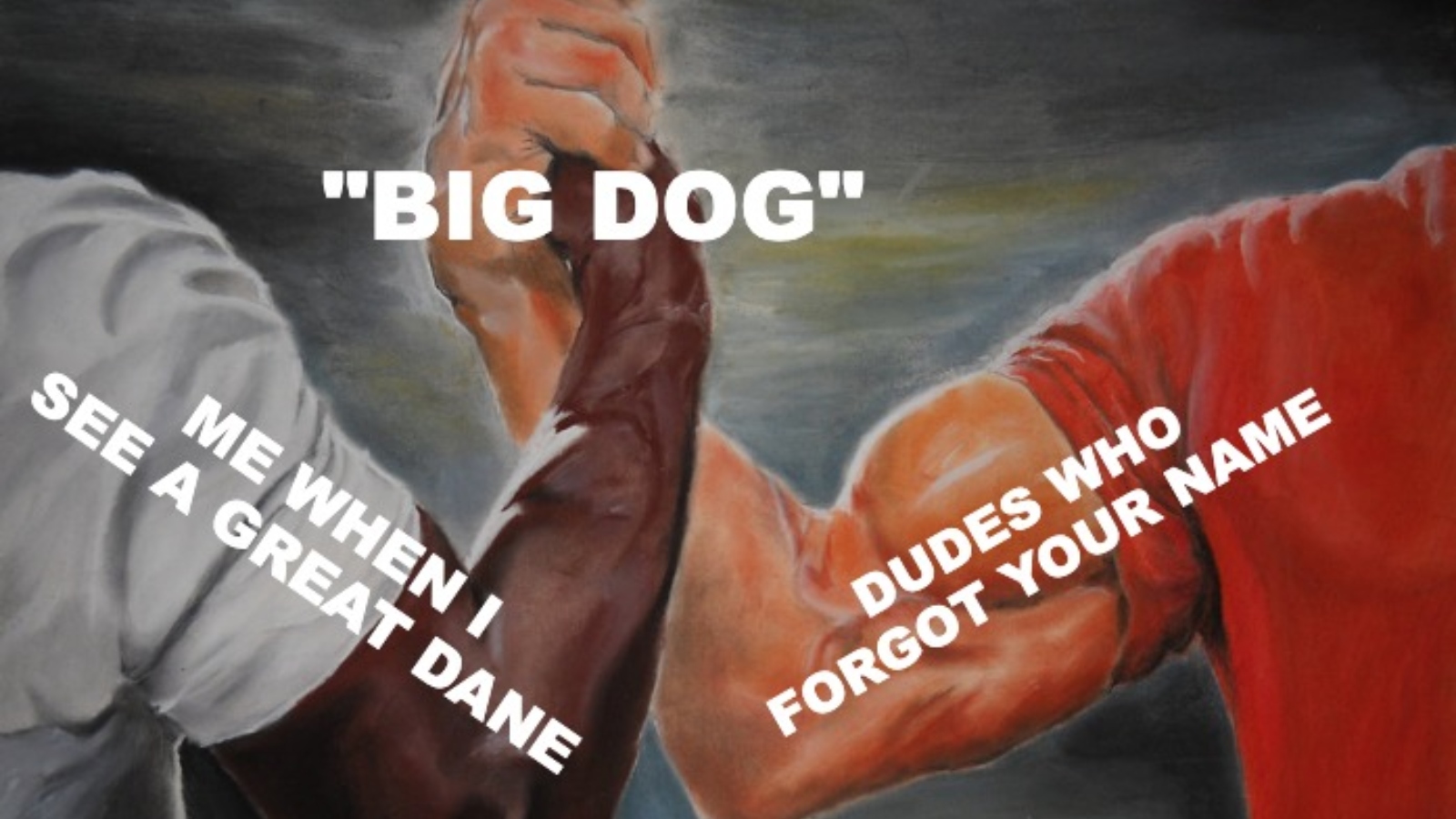 The 51 Best New Memes This Week Anywhere On The Internet