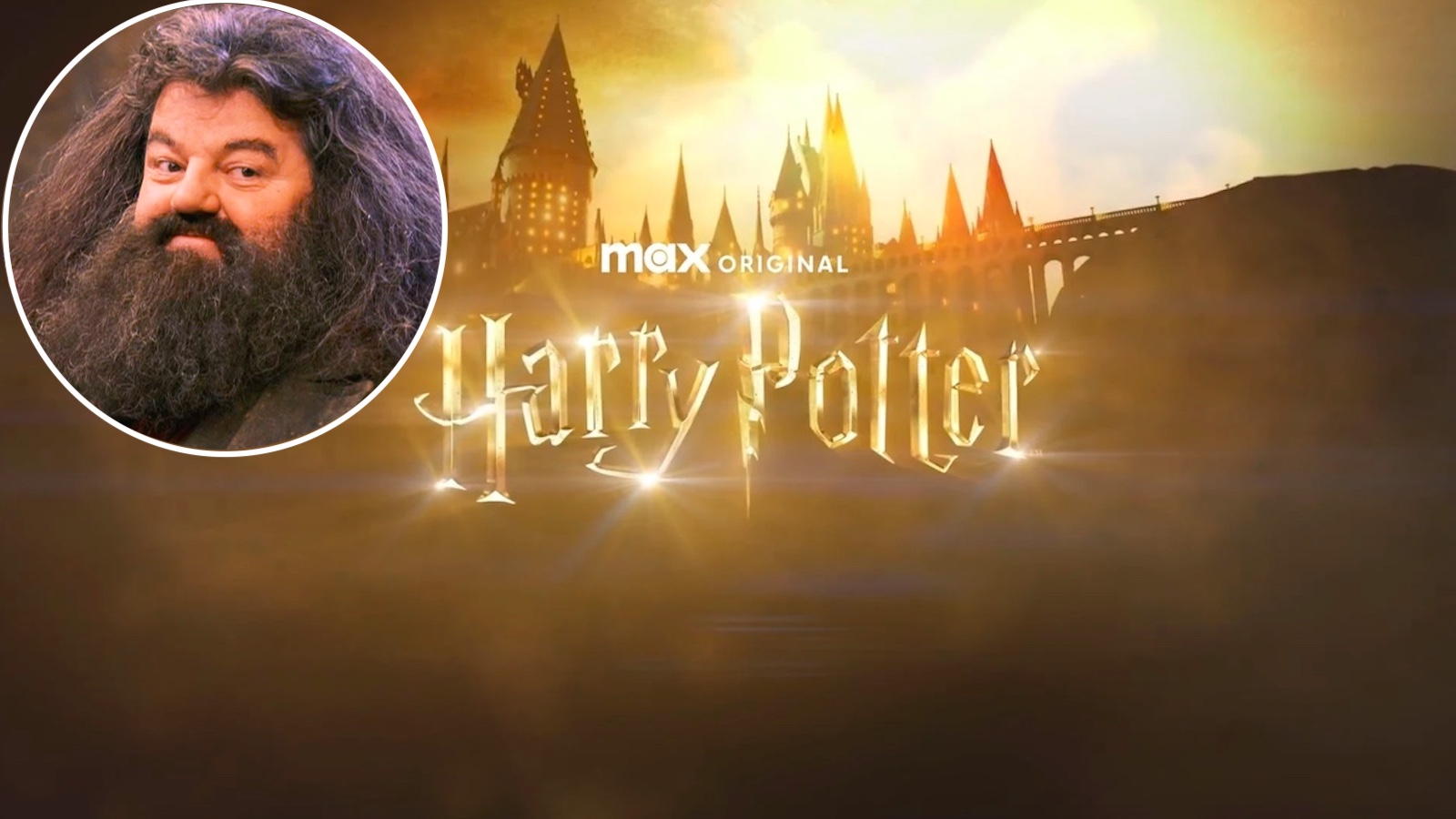 Nick Frost Cast As Hagrid In HBO's 'Harry Potter' Series