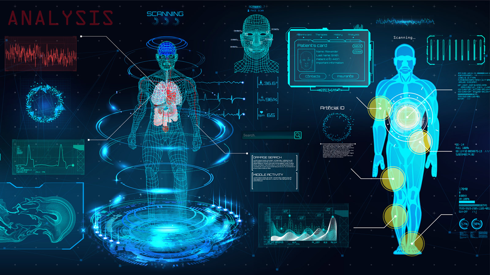 Scientists Want to Grow Human Bodies For Spare Organs, Testing