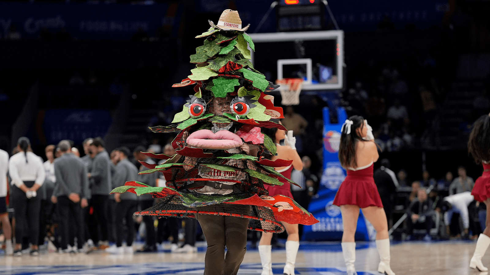 Stanford Mascot Rocks Miami Pants For Bathroom Bait And Switch