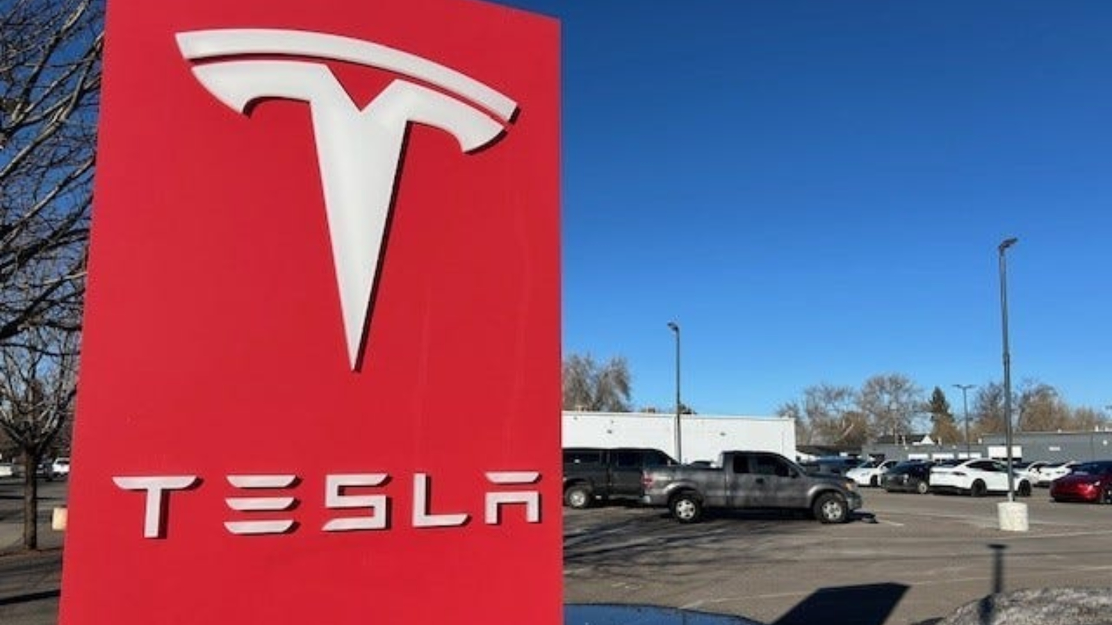 Elon Musk, Tesla Face Damning Claims In Odometer Fraud Suit