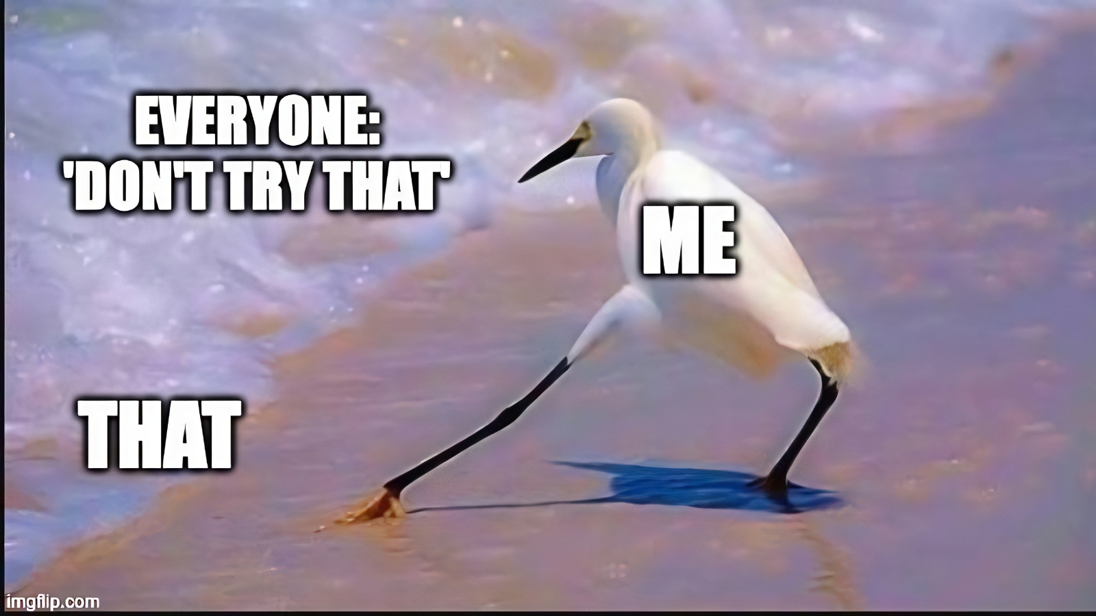 51 Of The Internet's Best Memes Today: Thursday's Funniest