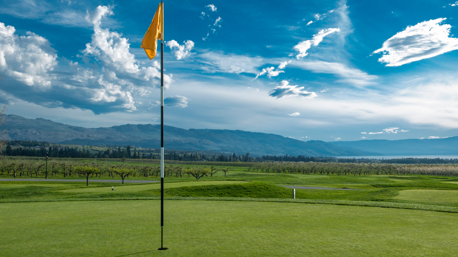 British Columbia Golf Course Brawl Ends With A Broken Jaw