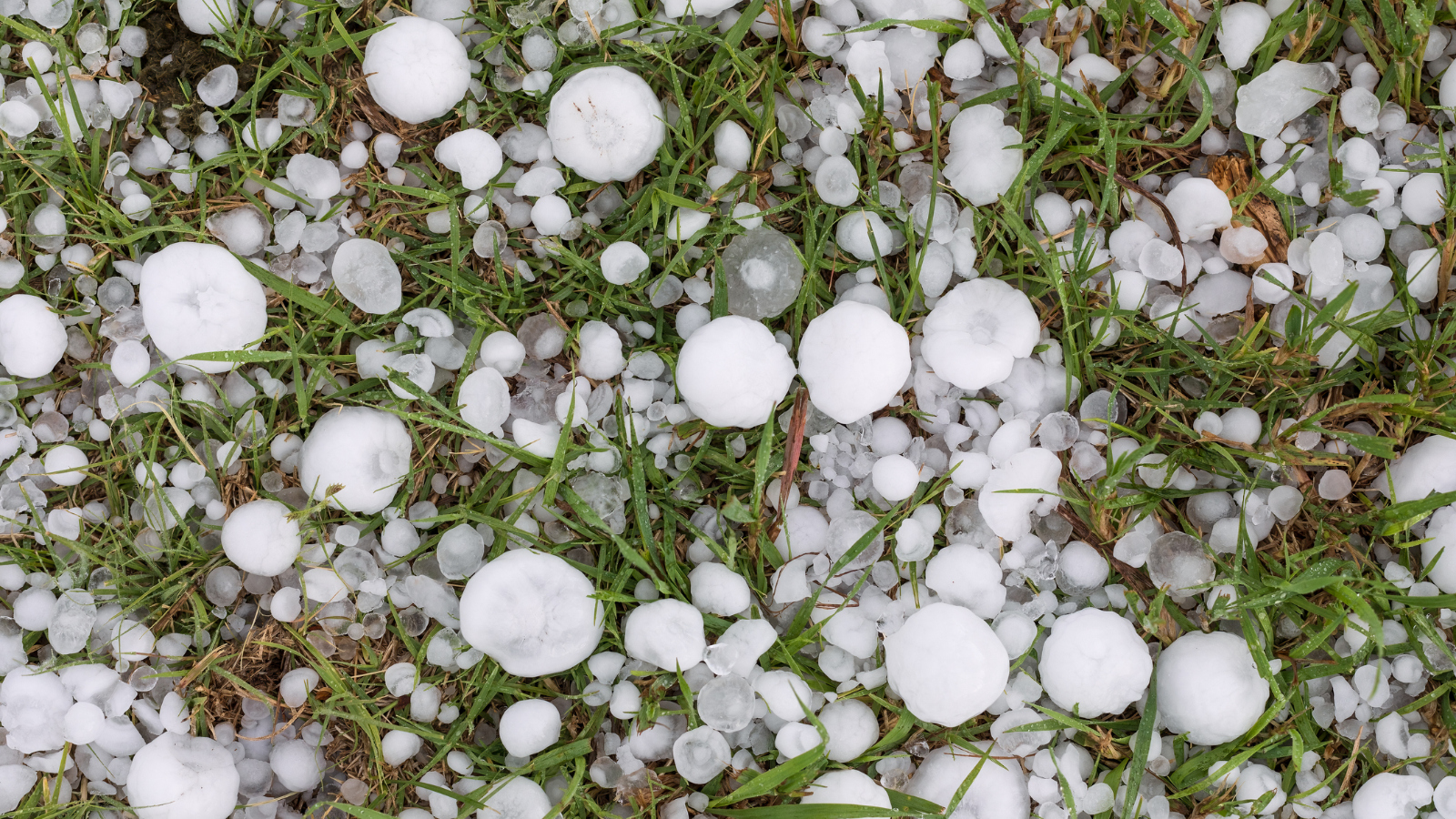 Nebraska Hit With A Diabolical Storm Dropping Softball-Sized Hail