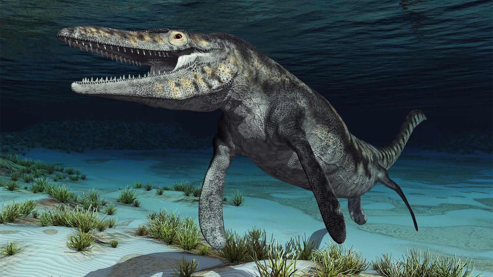 Remains Of Gigantic 'Sea Monster' Found In Mississippi Riverbed