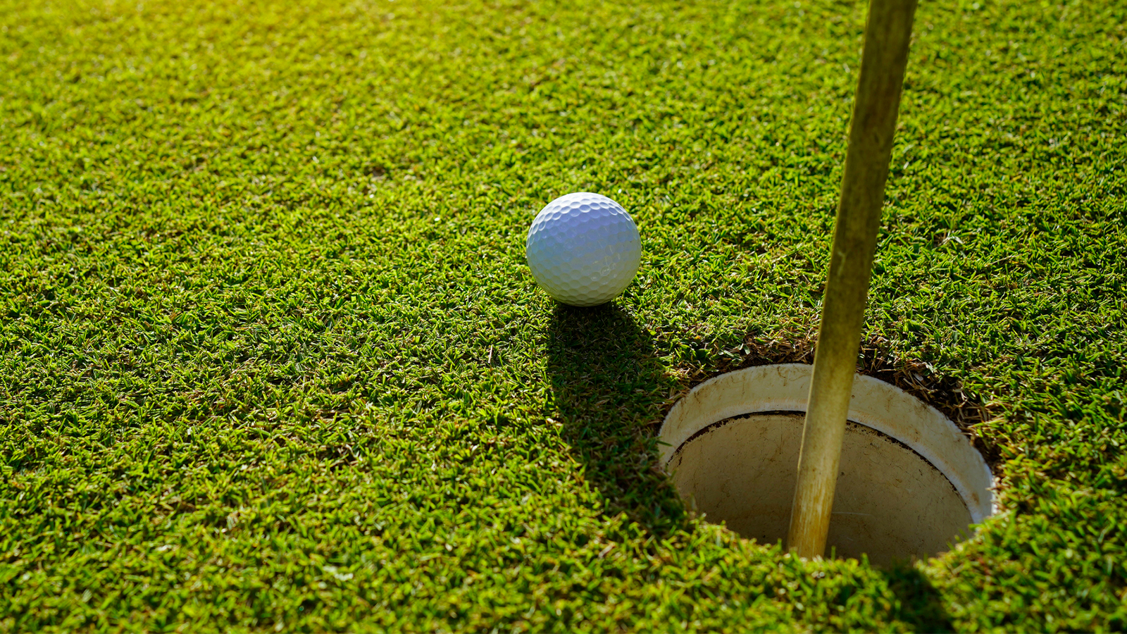 Best Golf Course Trash Talk: One-Liners Every Golfer Should Know