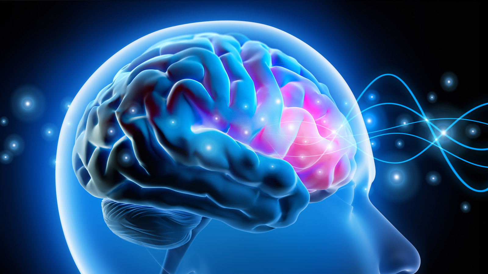 Device That Massages Neck And Face Drains Waste Out Of Brain