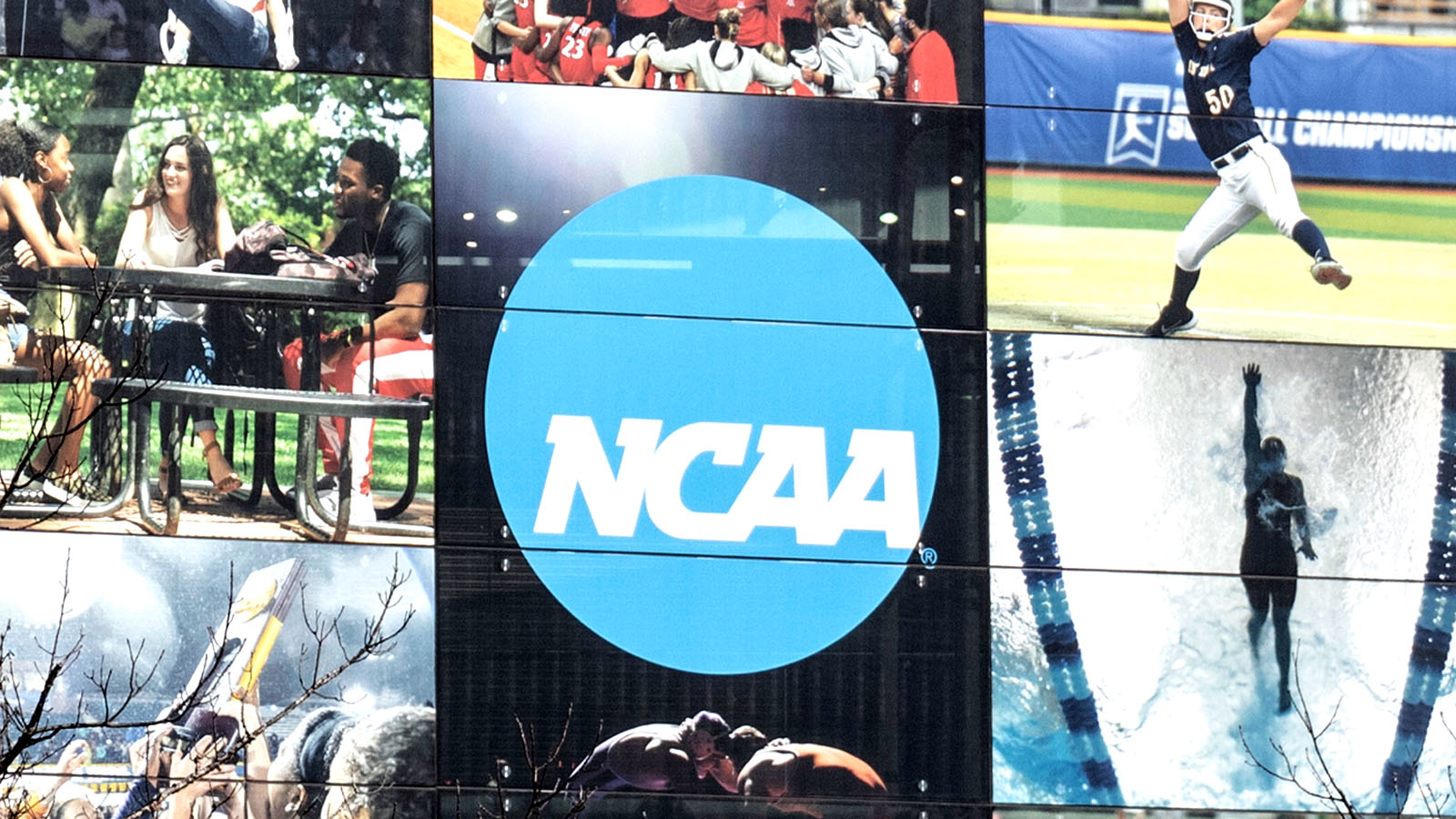 Female Athletes File Appeal Against House NCAA Settlement