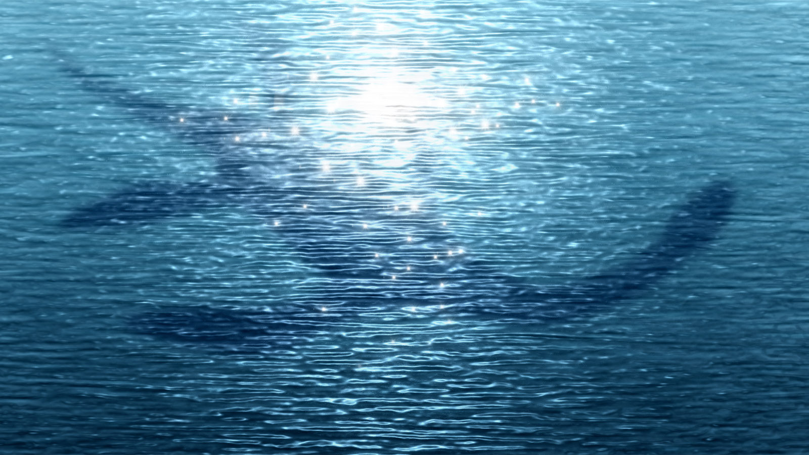 Loch Ness Monster Caught On Camera By American Tourist