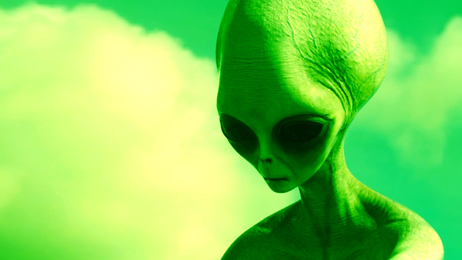 Examination Of 'Alien Corpses' Leads To Startling Discovery