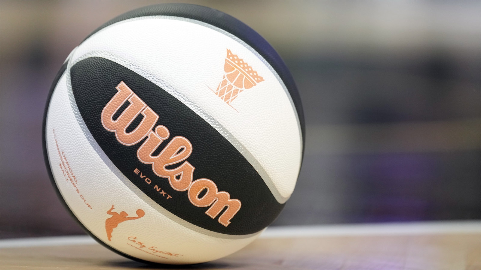 WNBA Rakes In Record Fees For Three New Expansion Teams