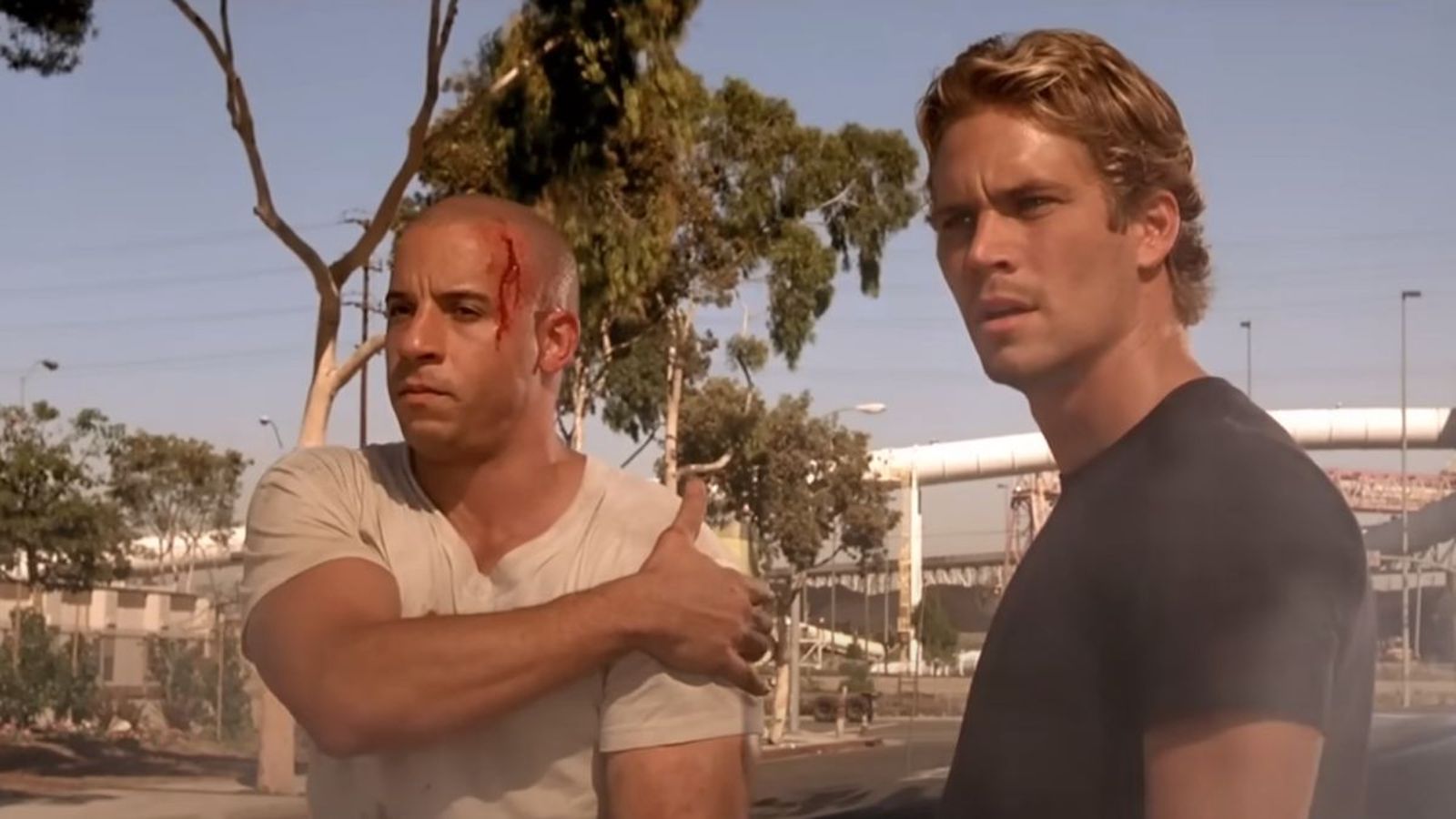 Vin Diesel: CGI Paul Walker Will Appear In The Final 'Fast' Movie