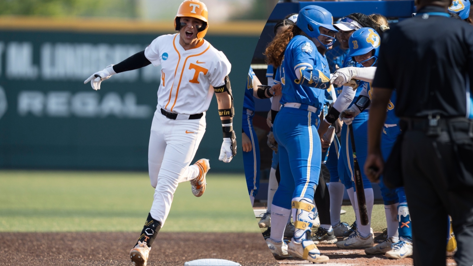 Tennessee Baseball Trolls NCAA With Nod To Softball Controversy