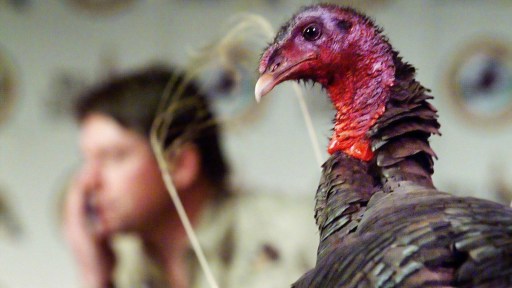 50 Of Today's Funniest Tweets And Memes