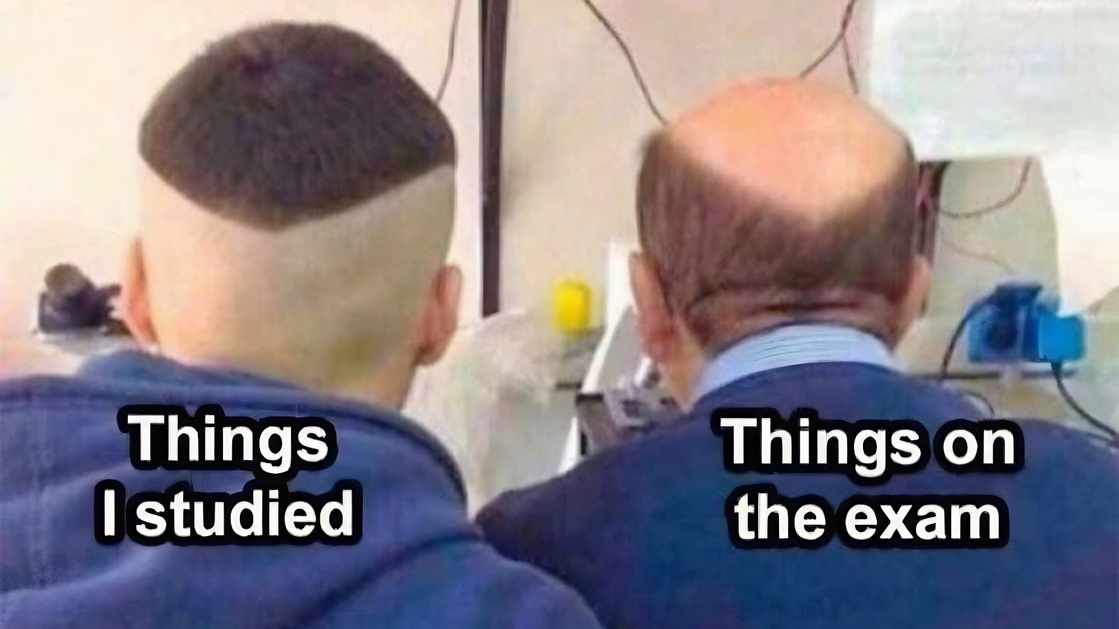 Rock Today By Starting With The 52 Best Memes On The Internet