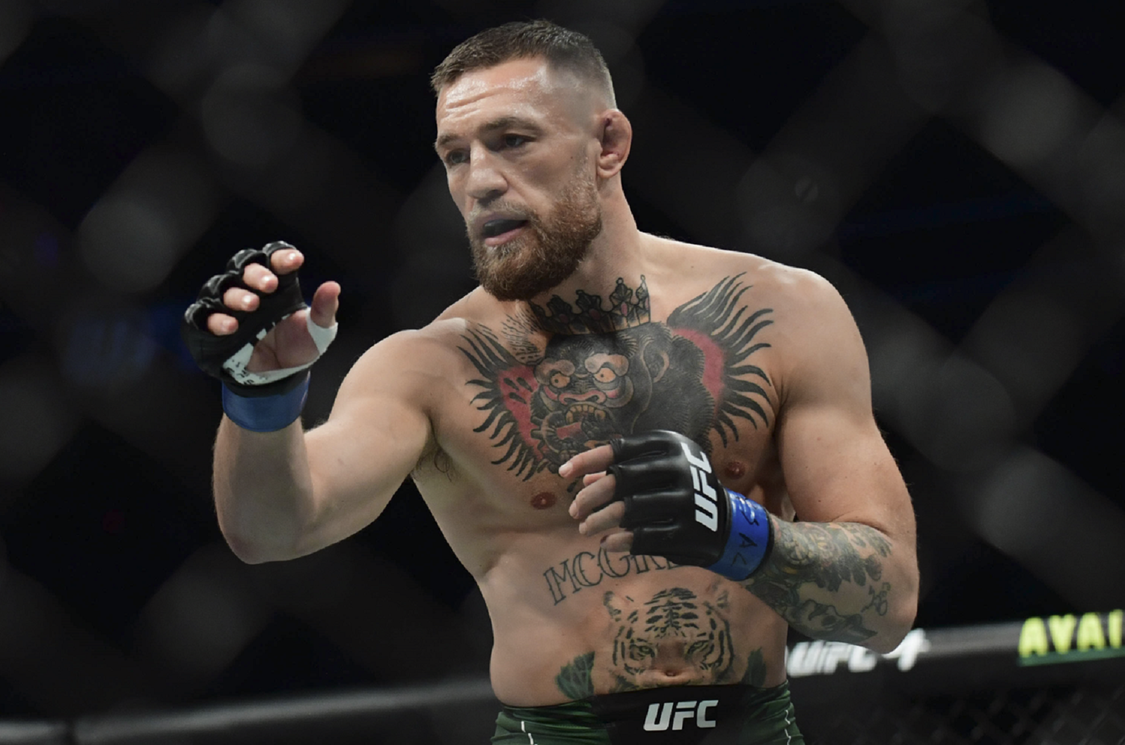Conor McGregor Wants To Fight On White House UFC Event