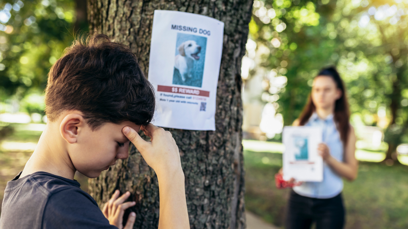 Dog Missing For 8 Years After Texas Hurricane Found 300mi Away