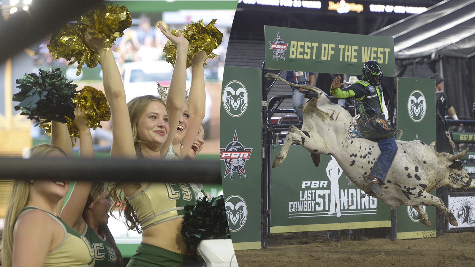 Colorado State Football Stadium Transforms Into Bull Riding Arena