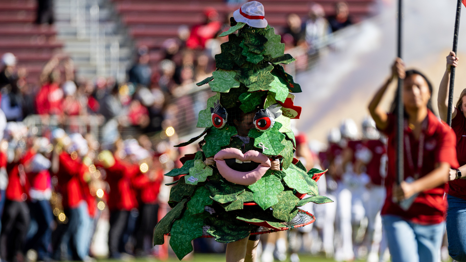 The 13 Weirdest And Most Unhinged Mascots In College Sports