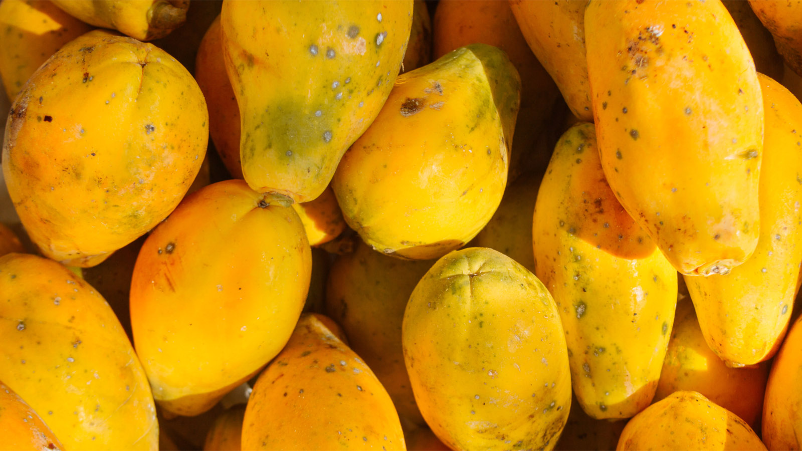Feds Seize Over $23 Million Worth Of Meth Hidden In Papayas
