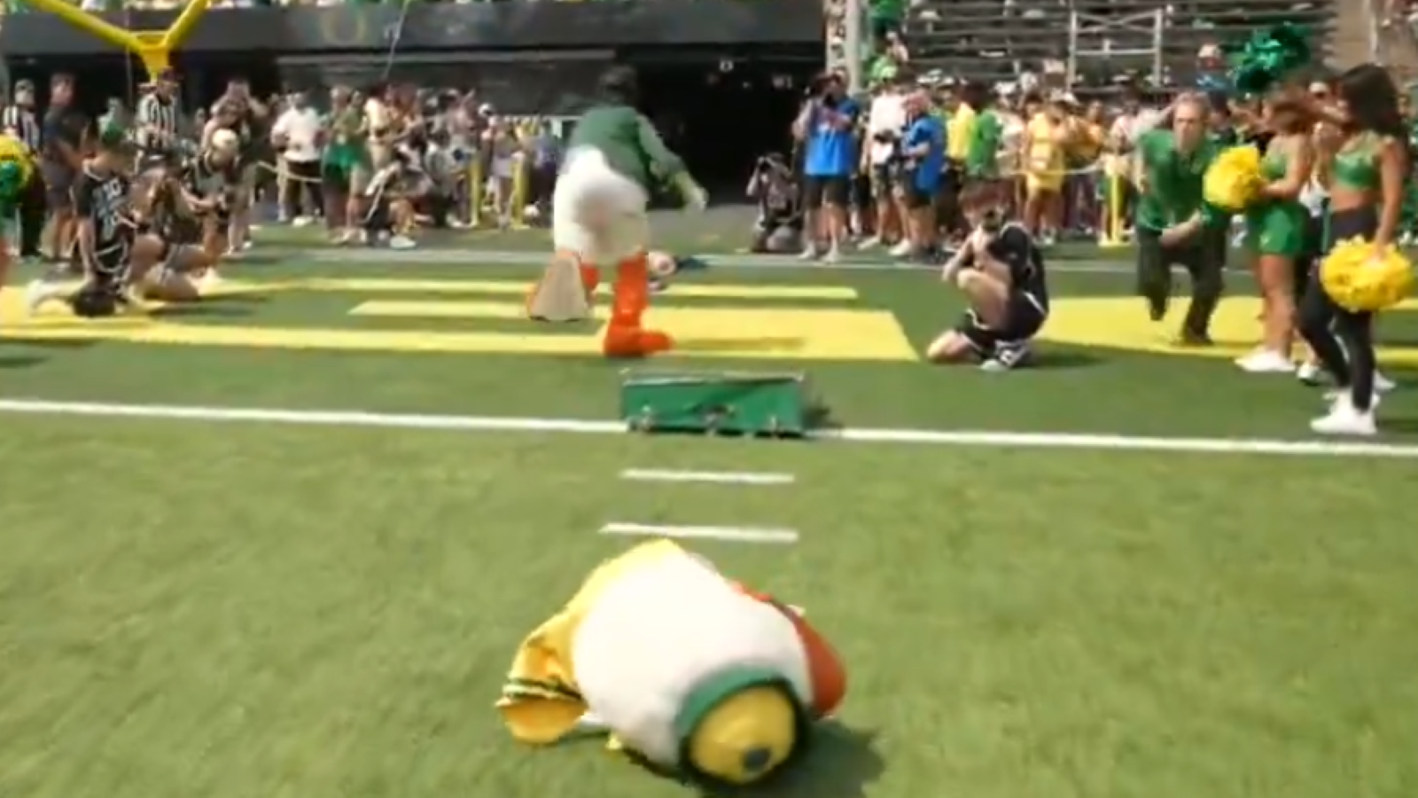 Oregon Ducks Mascot Beheaded In Tragic Yet Hilarious Accident