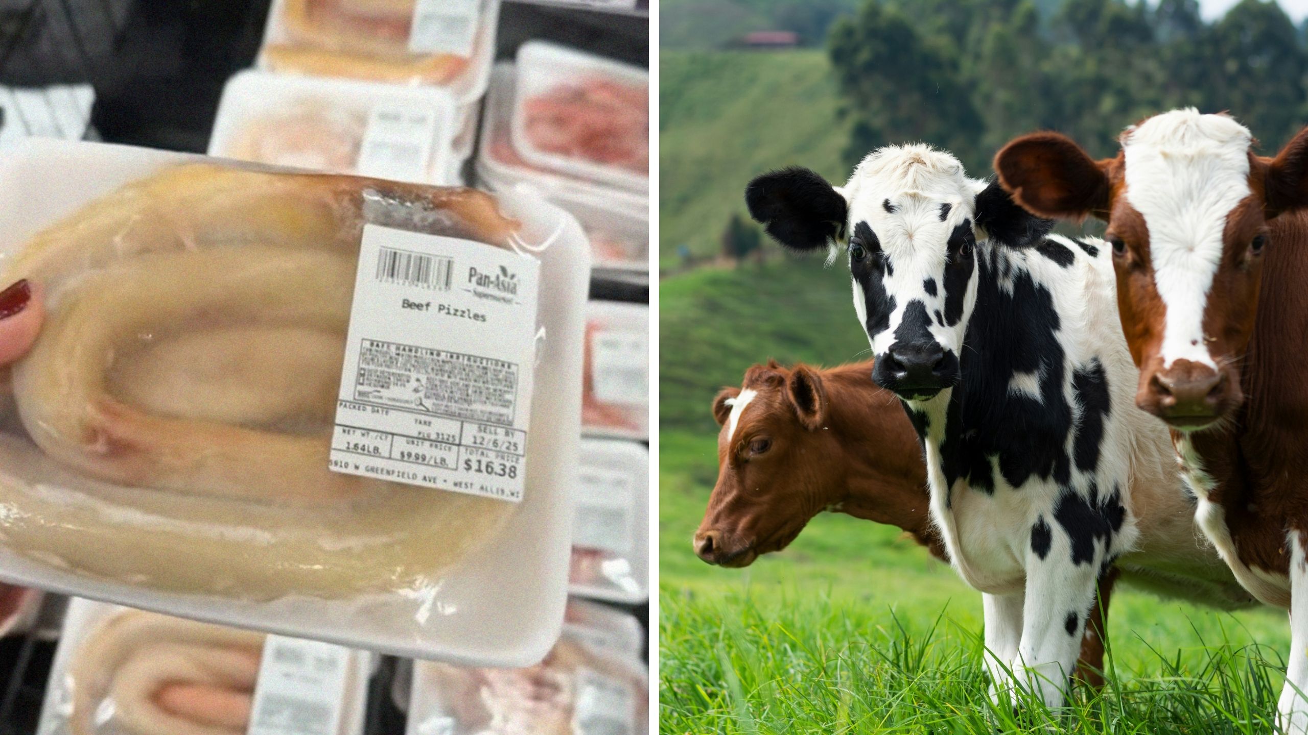 What Part Of Cow Is Beef Pizzle From?