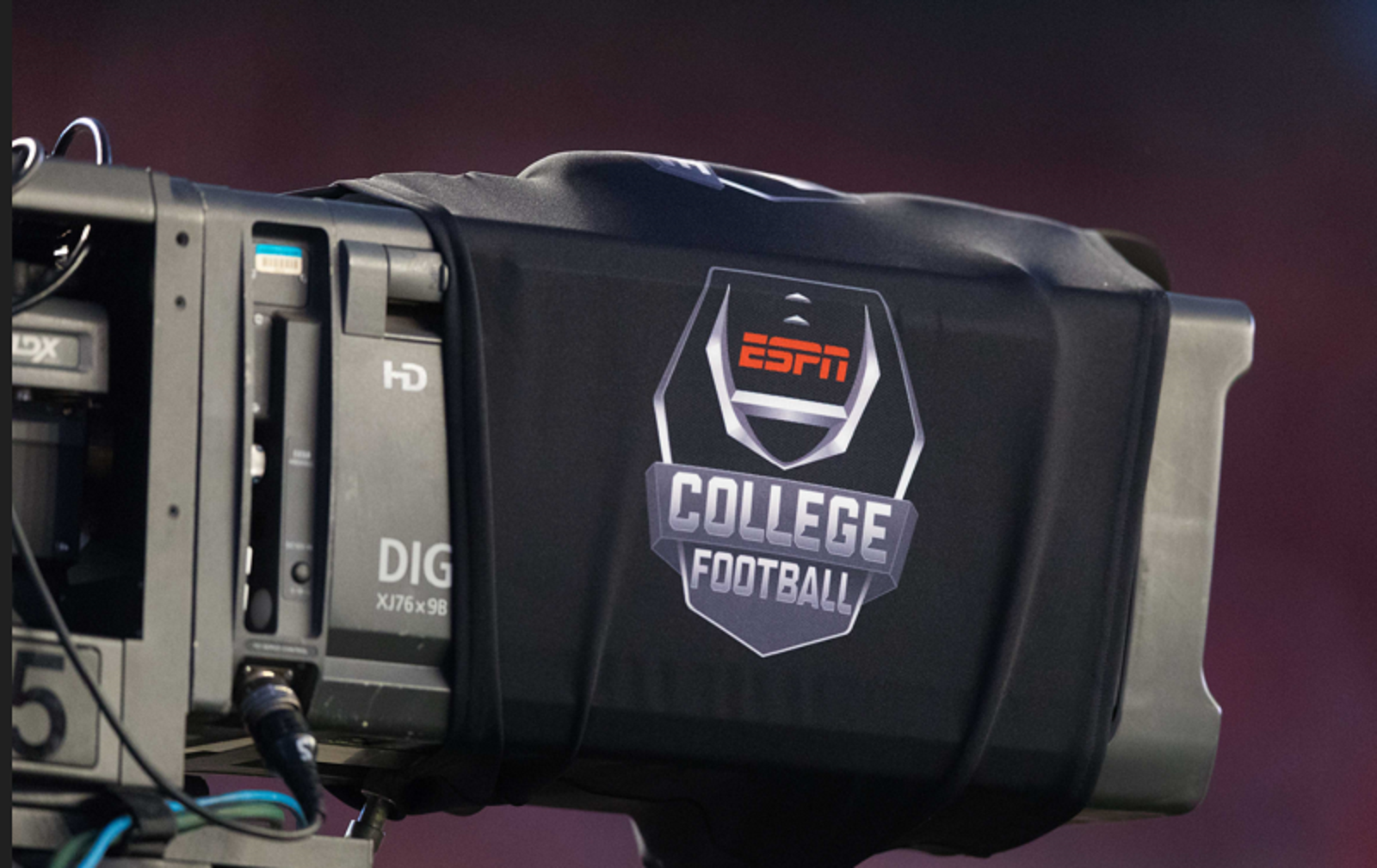 Reporter Blasts ESPN Cameraman For Shoving Her During LSU-Clemson Game