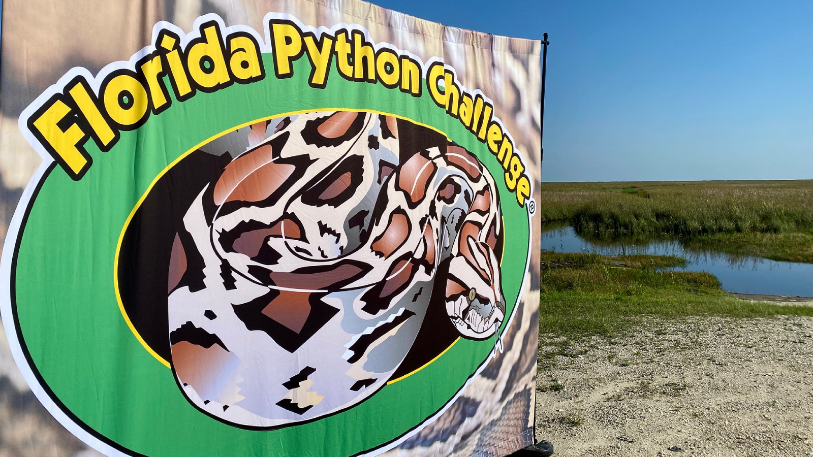 Florida Woman Win $10K With 60 Kills In 2025 Python Challenge