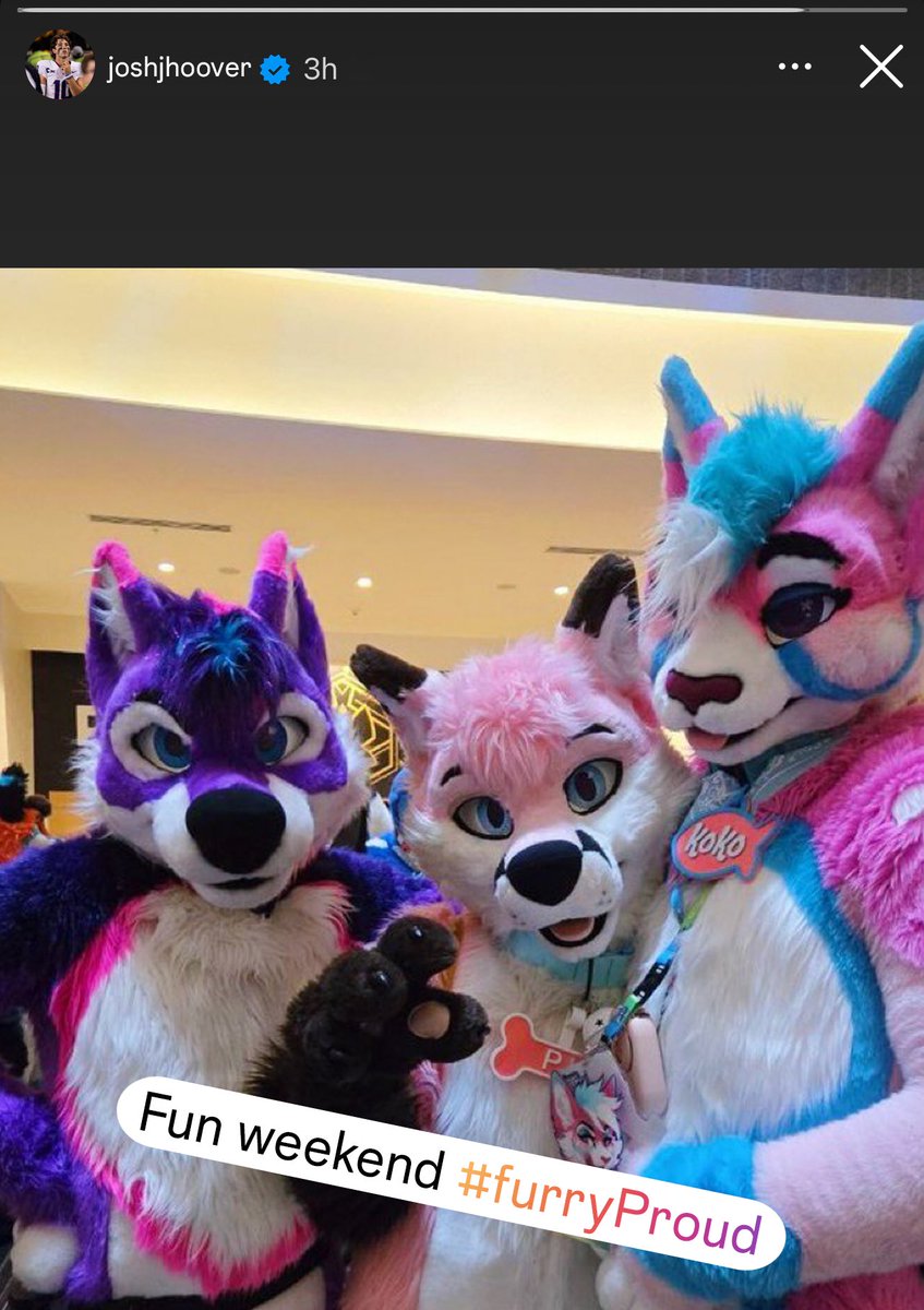 Is TCU Quarterback Josh Hoover A Furry?