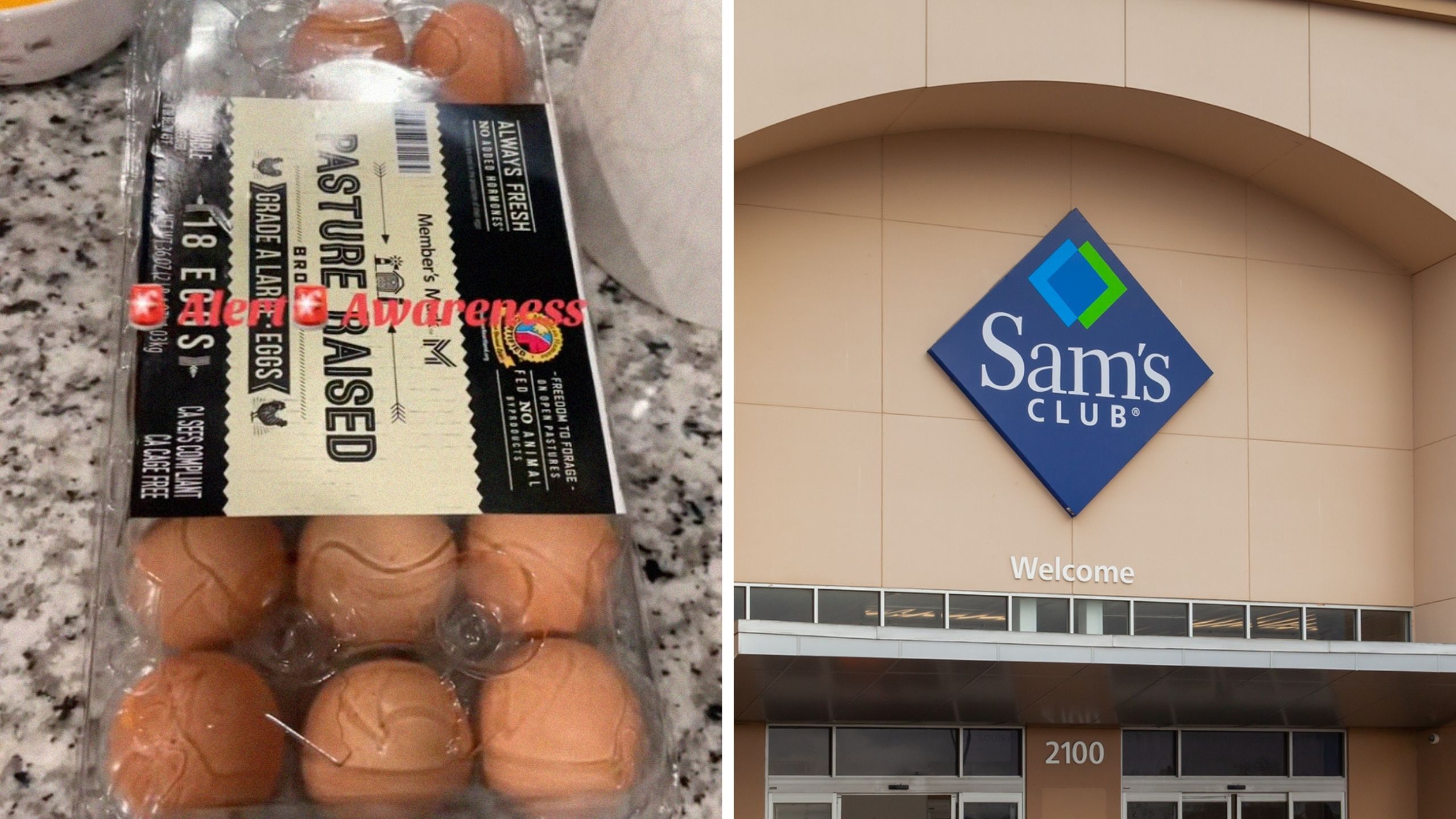 Are These Sam's Club Egg Shells 'Glued' Together?