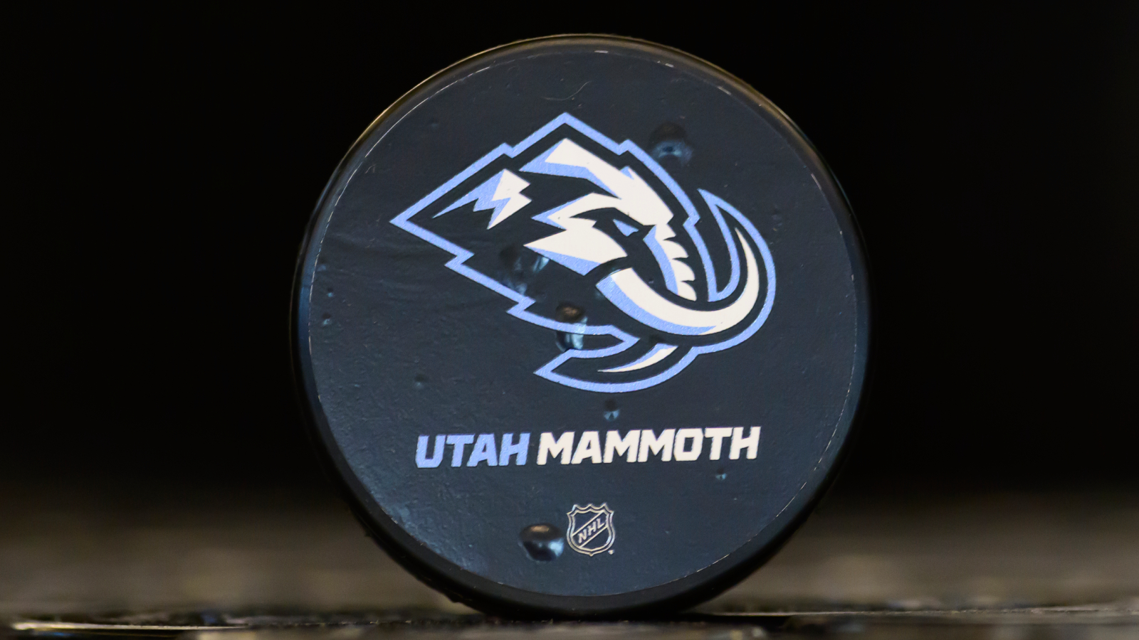 Utah Mammoth Hit With Injuction That Could Prevent Merch Sales