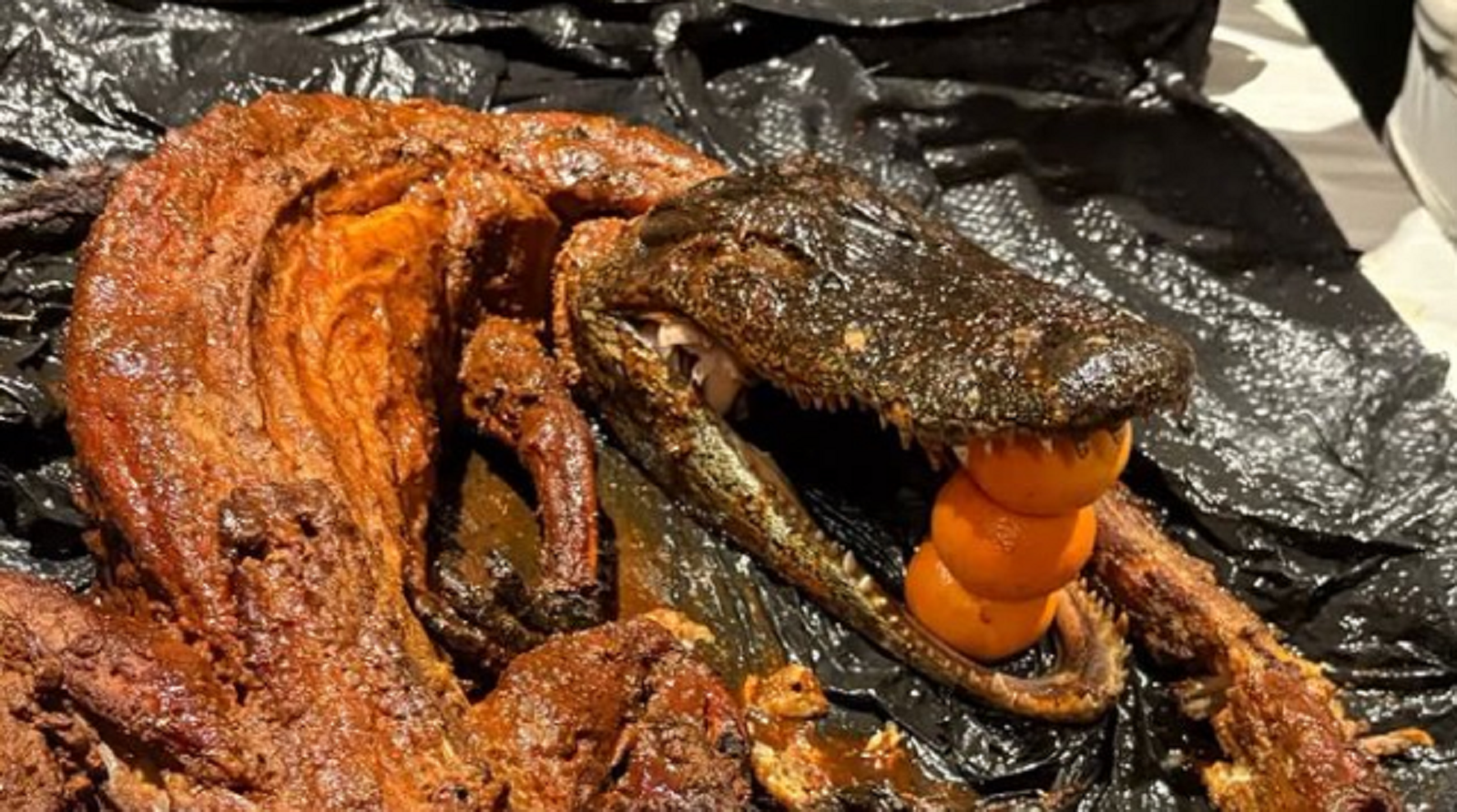 Miami Huricanes Players Eat BBQ Alligator Beating Florida Gators