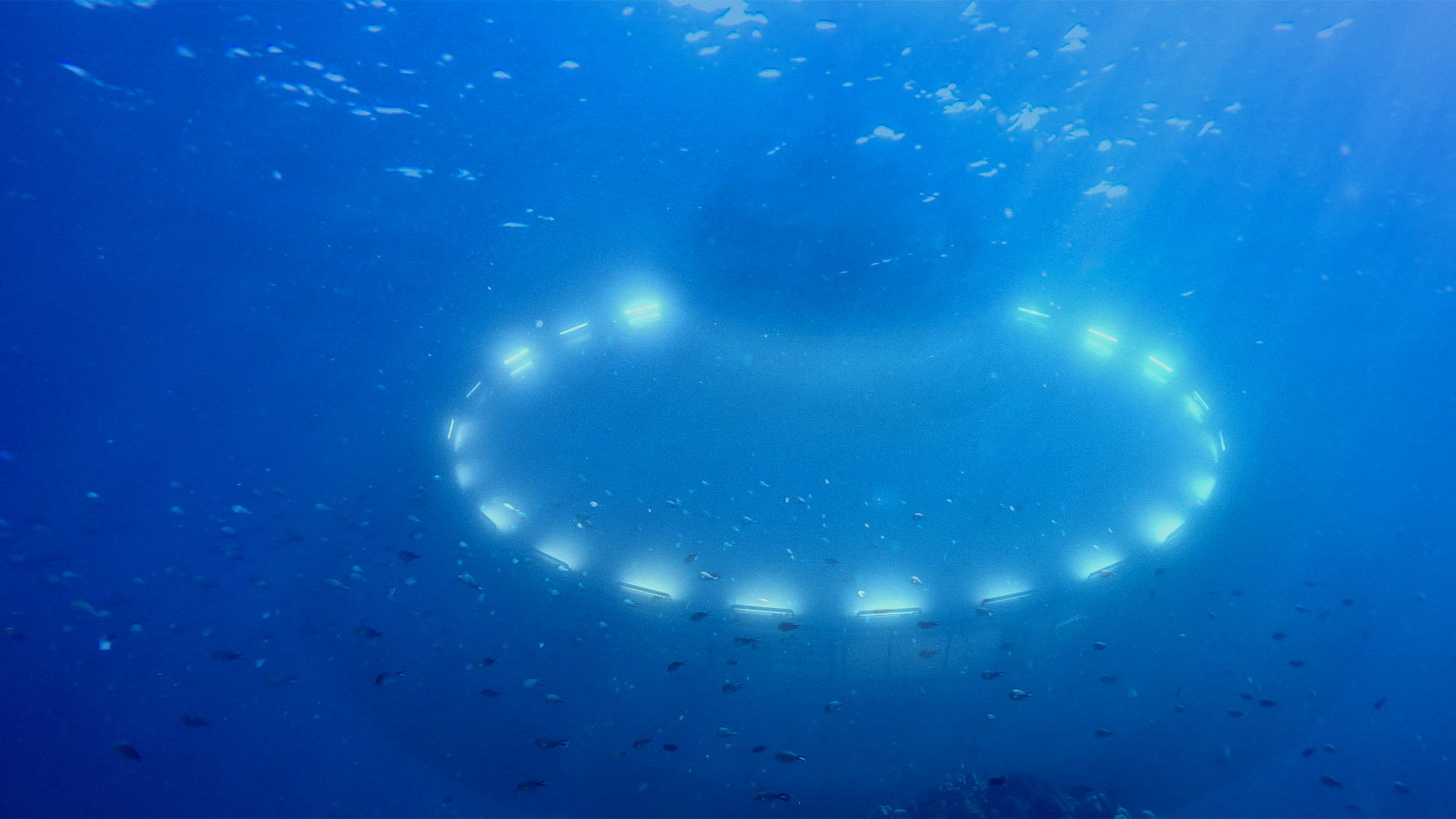 Congressman Claims Govt. Cover-Up Of Underwater Alien Bases