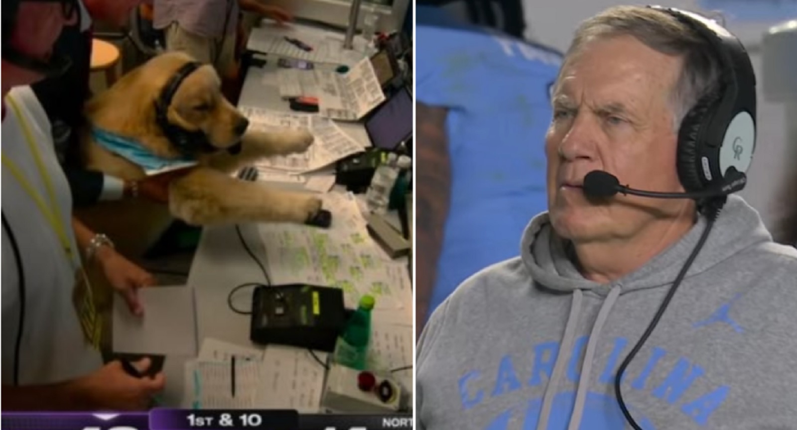 Kirk Herbstreit's Dog Jumps In The Booth While Bill Belichick's UNC ...